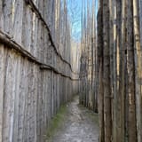 Longwoods Road Conservation Area, Ontario, Canada - 311 Reviews, Map ...