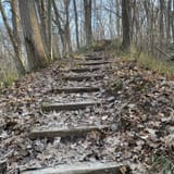 Longwoods Road Conservation Area, Ontario, Canada - 311 Reviews, Map ...