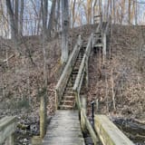 Longwoods Road Conservation Area, Ontario, Canada - 311 Reviews, Map ...