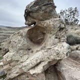Trail Through Time, Colorado - 271 Reviews, Map | AllTrails