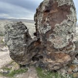 Trail Through Time, Colorado - 271 Reviews, Map | AllTrails