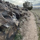 Trail Through Time, Colorado - 271 Reviews, Map | AllTrails