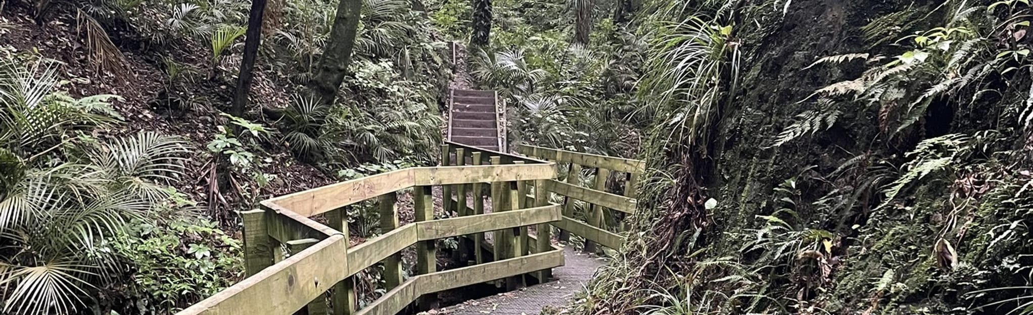 Frank Cameron Woodland Walk and Waterfall Track, Wellington, New ...