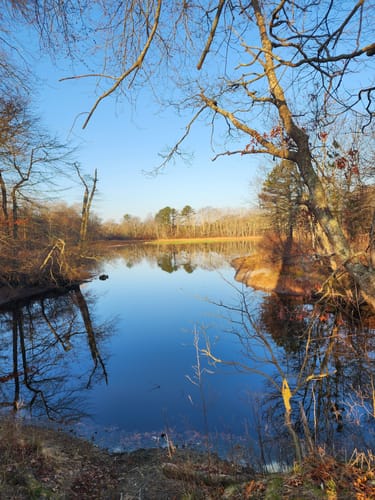 Best Hikes and Trails in Calverton Ponds Preserve | AllTrails