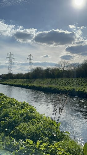 Best Hikes and Trails in Sandwell Valley Country Park | AllTrails