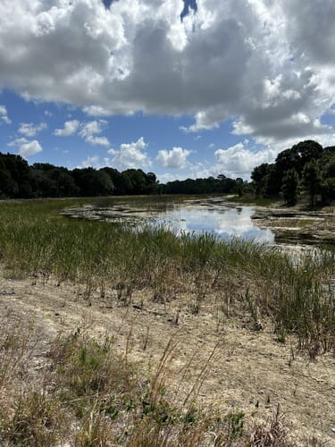 Best Hikes and Trails in Winding Waters Natural Area | AllTrails