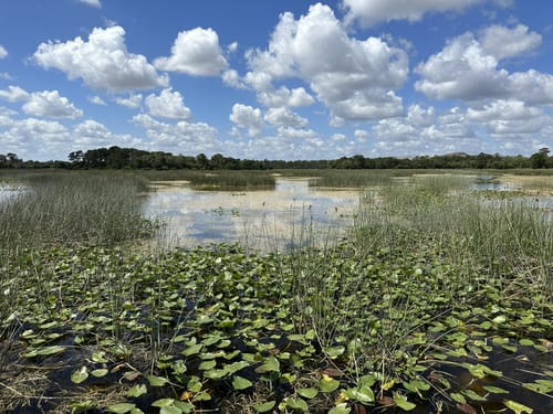 Best Hikes and Trails in Winding Waters Natural Area | AllTrails
