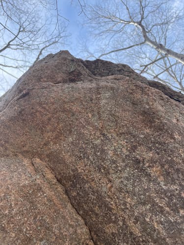 Best Hikes and Trails in Nehantic State Forest | AllTrails