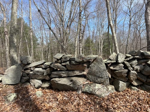 Best Hikes and Trails in Nehantic State Forest | AllTrails