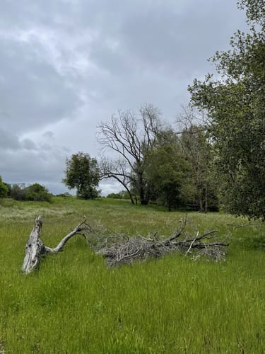 Best Hikes and Trails in Hellyer County Park | AllTrails