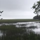 Cannon’s Point Preserve, Georgia - 126 Reviews, Map | AllTrails