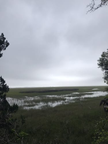 Best Hikes and Trails in Cannon’s Point Preserve | AllTrails