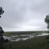 Cannon’s Point Preserve, Georgia - 126 Reviews, Map | AllTrails