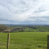 Hergest Ridge Circular, Herefordshire, England - 19 Reviews, Map ...