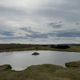 Hergest Ridge Circular, Herefordshire, England - 19 Reviews, Map ...