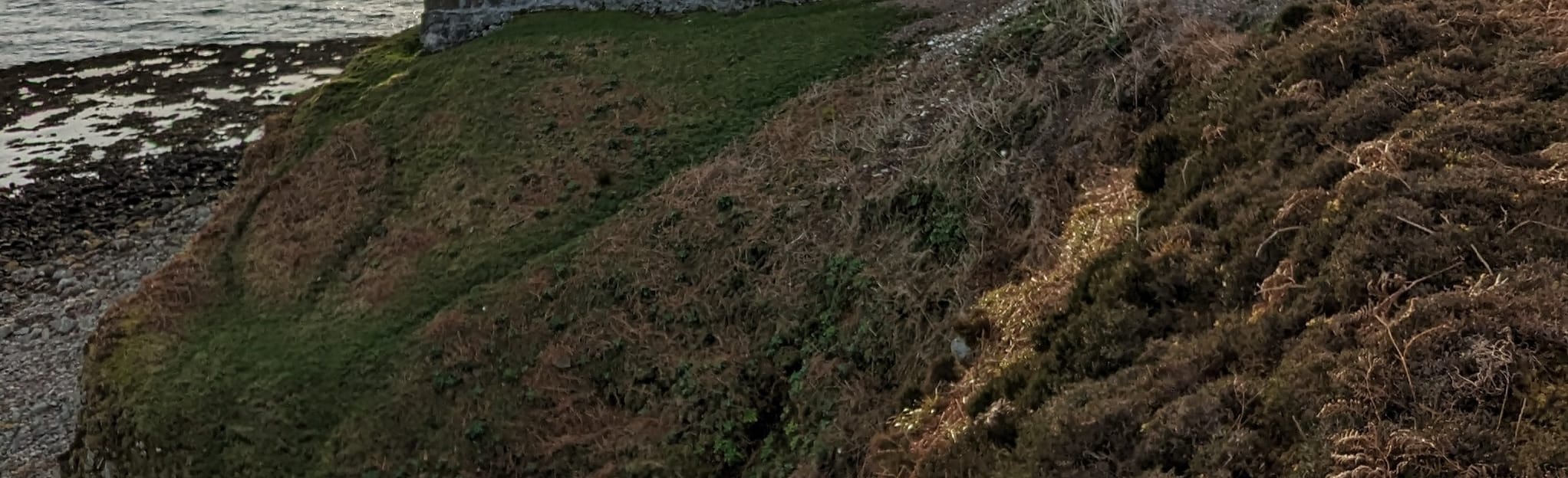 Davaar Island: 3 Reviews, Map - Argyll and Bute, Scotland | AllTrails