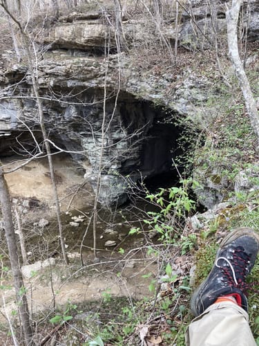 2023 Best Cave Trails in Carter Caves State Resort Park | AllTrails