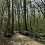 Glover-Archbold Trail, District of Columbia - 381 Reviews, Map | AllTrails