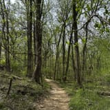 Glover-Archbold Trail, District of Columbia - 381 Reviews, Map | AllTrails