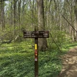 Glover-Archbold Trail, District of Columbia - 381 Reviews, Map | AllTrails