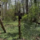 Glover-Archbold Trail, District of Columbia - 381 Reviews, Map | AllTrails