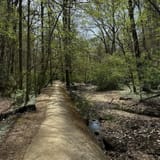 Glover-Archbold Trail, District of Columbia - 381 Reviews, Map | AllTrails