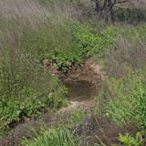 Bane Canyon Short Loop Trail, California - 767 Reviews, Map | AllTrails