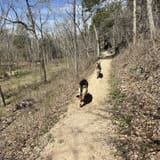 Alley Spring Overlook Trail, Missouri - 316 Reviews, Map | AllTrails