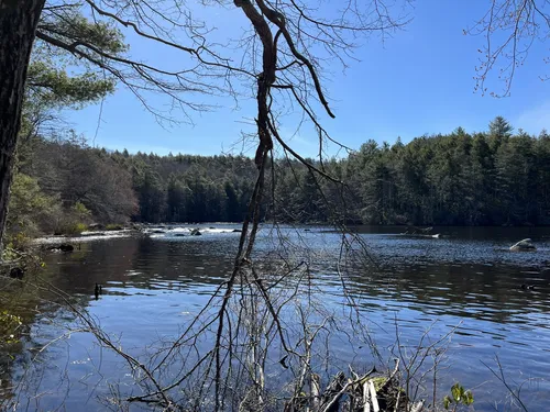 10 Best Waterfall Trails in Rhode Island | AllTrails