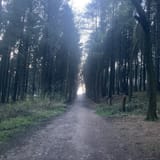 Beacon Fell Circular, Lancashire, England - 88 Reviews, Map | AllTrails