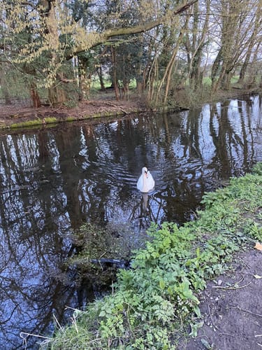 Best Hikes and Trails in Weston Turville Reservoir | AllTrails