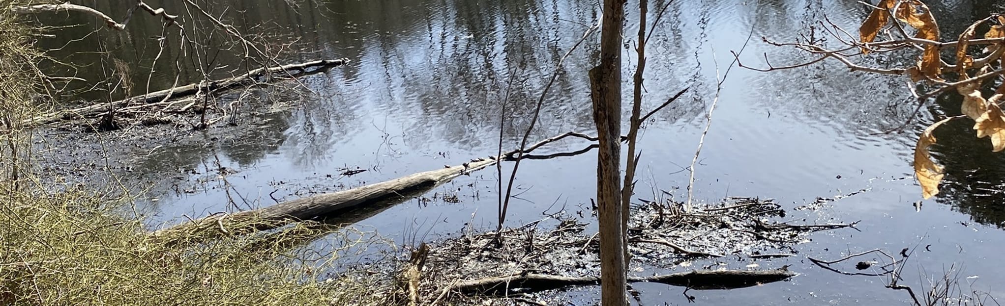 AllTrails | Aqueduct Trail via Charles River Path: 75 Reviews, Map ...