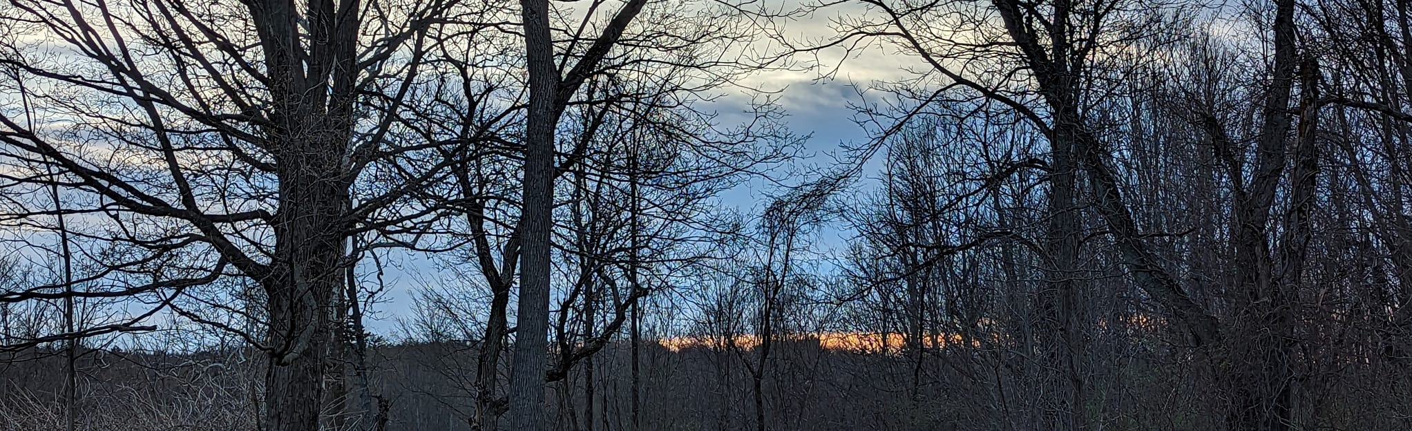 Worden's Ledges Loop Trail: 591 Reviews, Map - Ohio | AllTrails