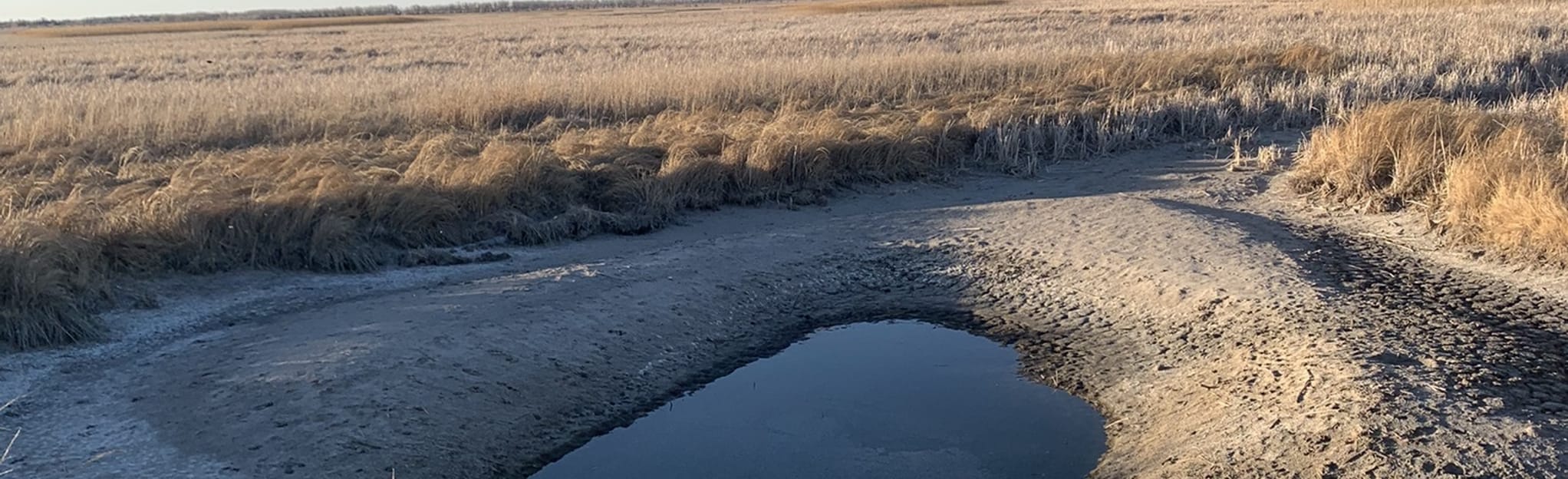 Quivira National Wildlife Refuge Loop | Map, Guide - Kansas | AllTrails