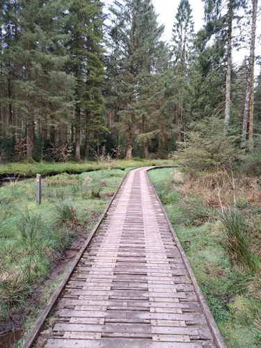 Best Waterfall Trails in Hafren Forest | AllTrails