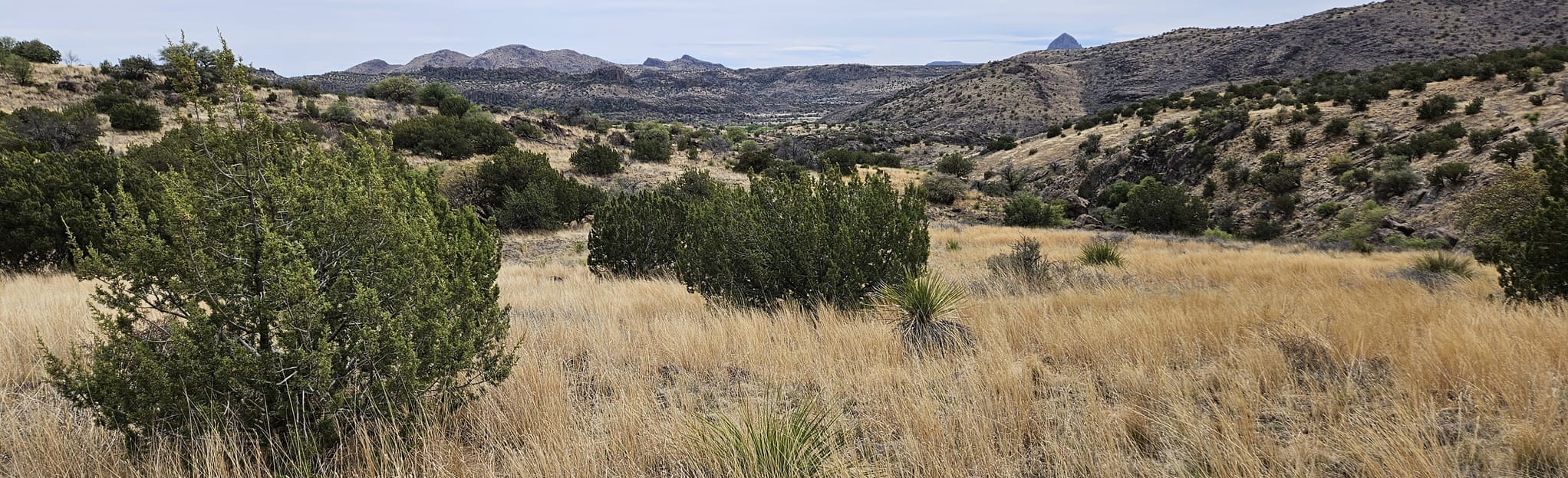 Chihuahuan Desert Outside Loop, Texas - 159 Reviews, Map | AllTrails