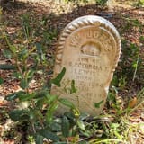 Atsena Otie Key Trail, Florida - 12 Reviews, Map | AllTrails