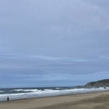 Kehoe Beach Trail, California - 337 Reviews, Map | AllTrails