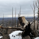 Storm Mountain, Colorado - 245 Reviews, Map | AllTrails