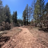 Spence Hot Springs Trail, New Mexico - 378 Reviews, Map | AllTrails