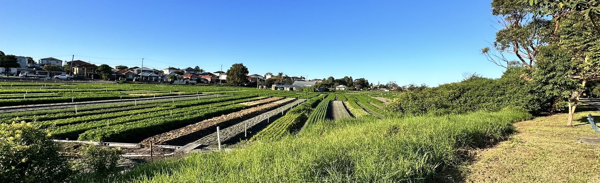 Kyeemagh to Arncliffe via Cook Park Trail, New South Wales, Australia ...