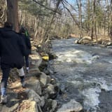 Old Mill Trail, Massachusetts - 302 Reviews, Map | AllTrails