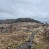 Mount Rogers Trail, Virginia - 438 Reviews, Map | AllTrails