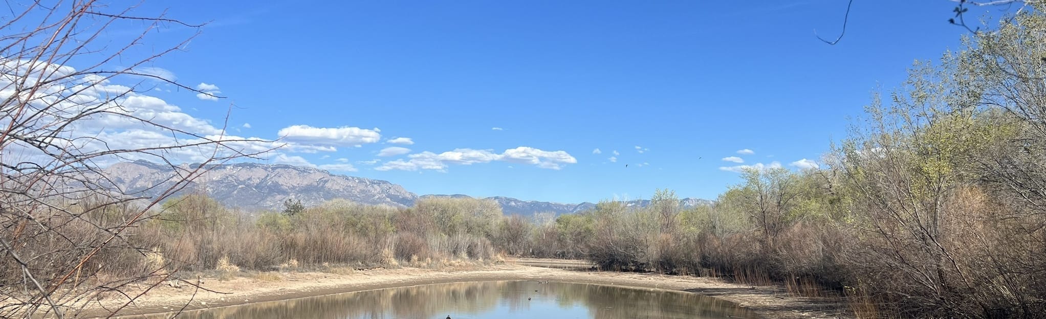 Bosque Trail: I 40 to Alameda Boulevard NW: 568 Reviews, Map - New ...