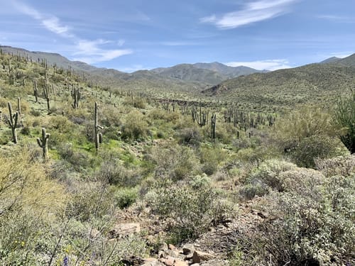2023 Best Moderate Trails in Spur Cross Ranch Conservation Area | AllTrails