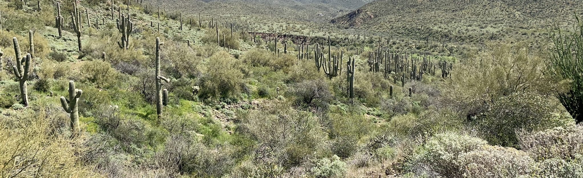 Spur Cross Trail to Maricopa Trail to Go John Trail, Arizona - 44 ...