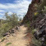 Calderwood Butte Trail, Arizona - 1,671 Reviews, Map | AllTrails