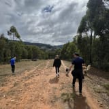 Taggerty River Lookout Loop, Victoria, Australia - 44 Reviews, Map ...