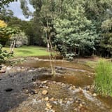 Taggerty River Lookout Loop, Victoria, Australia - 67 Reviews, Map ...