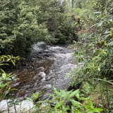 Taggerty River Lookout Loop, Victoria, Australia - 67 Reviews, Map ...